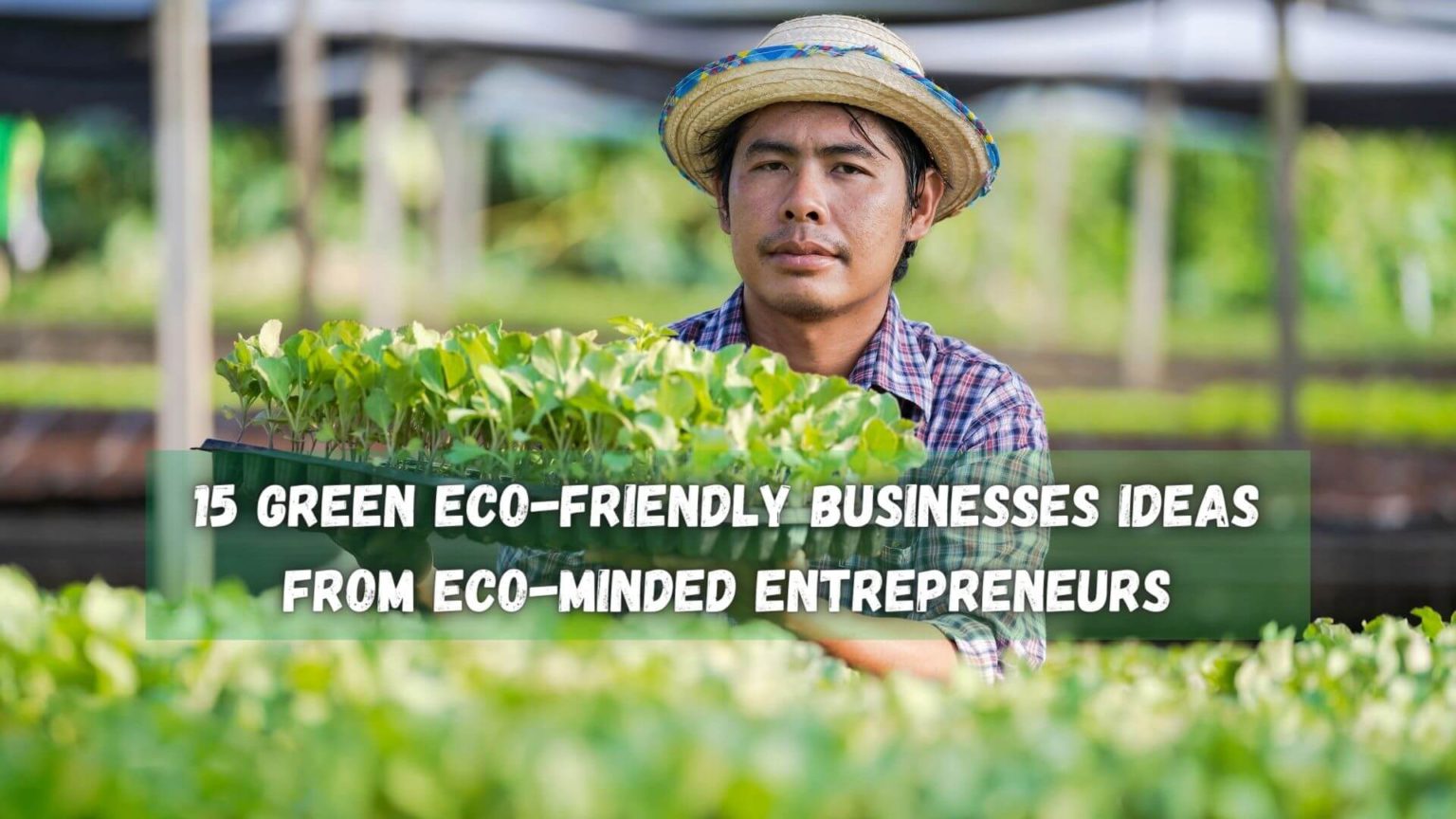 15 Green Eco-Friendly Businesses Ideas | ReliaBills